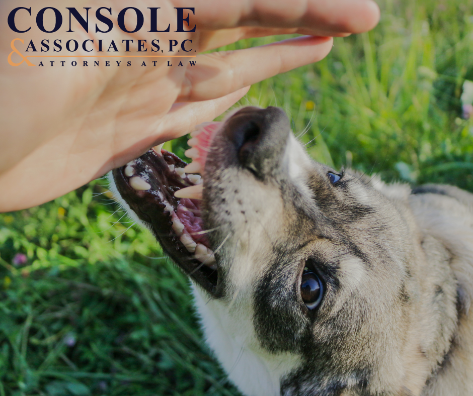 What Happens If You Dont Get A Tetanus Shot After A Dog Bite