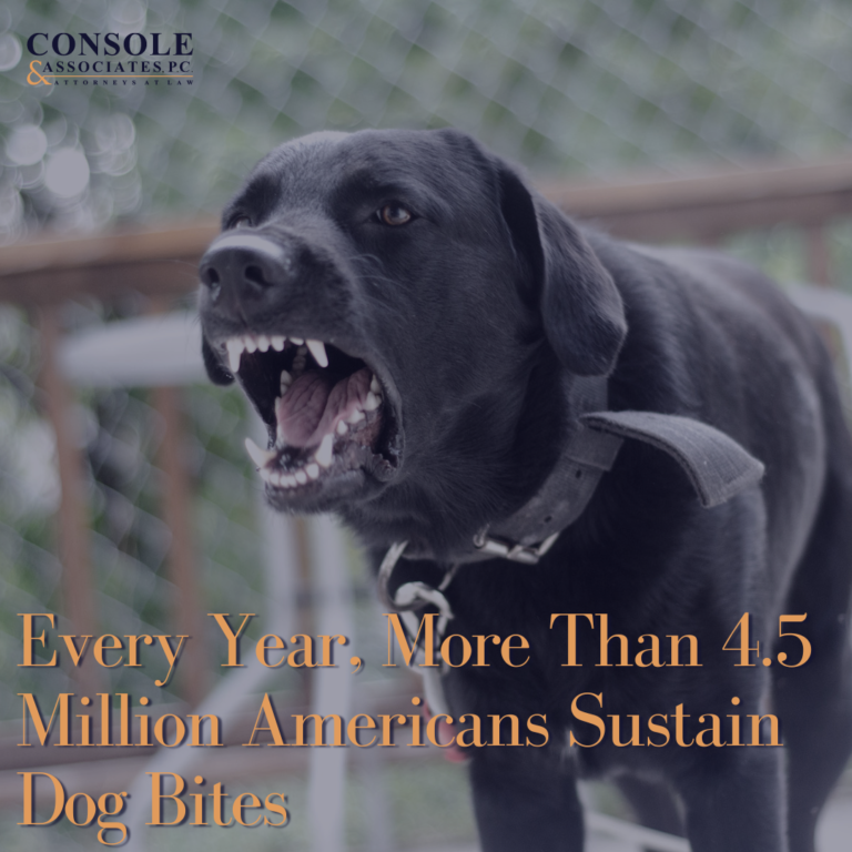 How Severe is Your Dog Bite? Level 1 vs Level 6 Explained