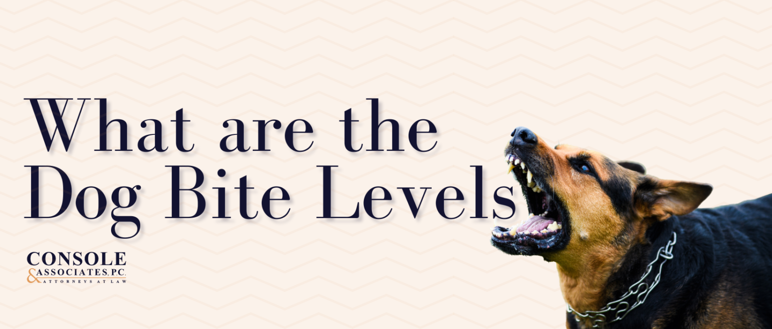How Severe is Your Dog Bite? Level 1 vs Level 6 Explained